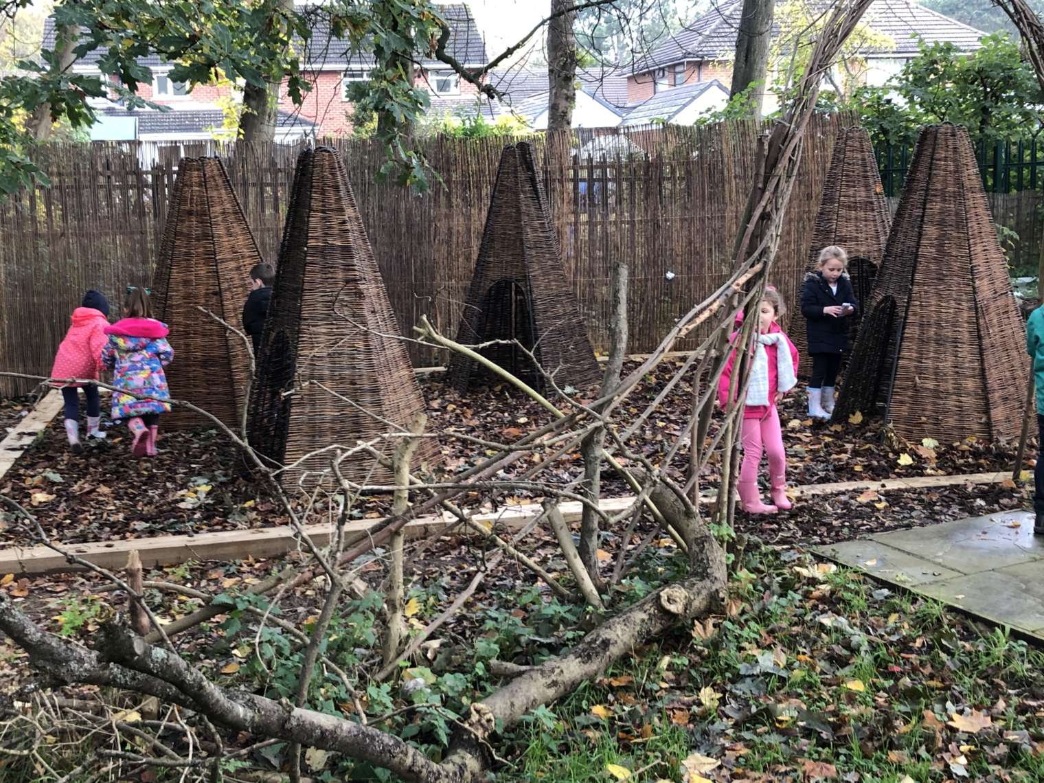 In The Forest… – Overchurch Infant School