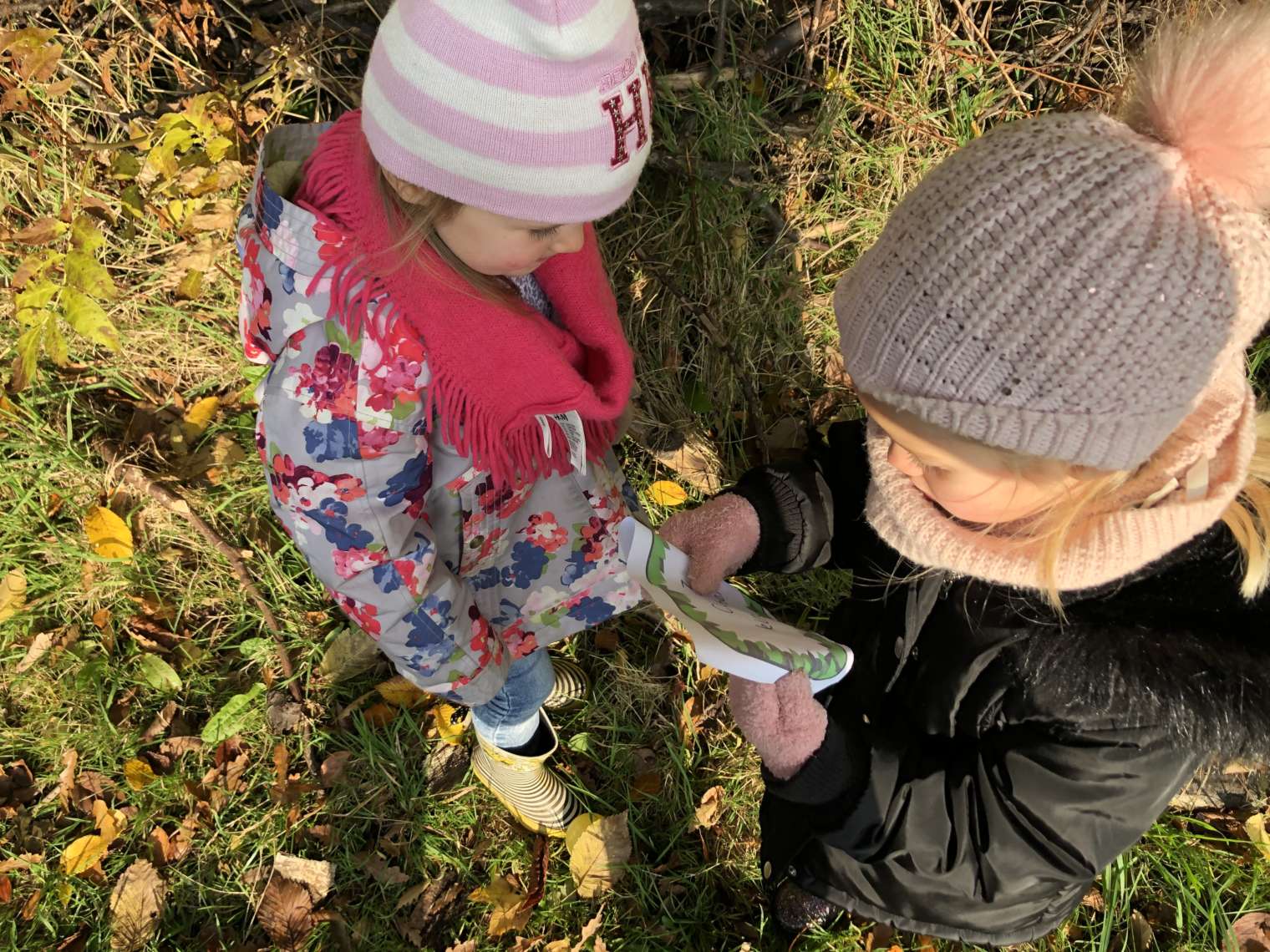 In The Forest… – Overchurch Infant School