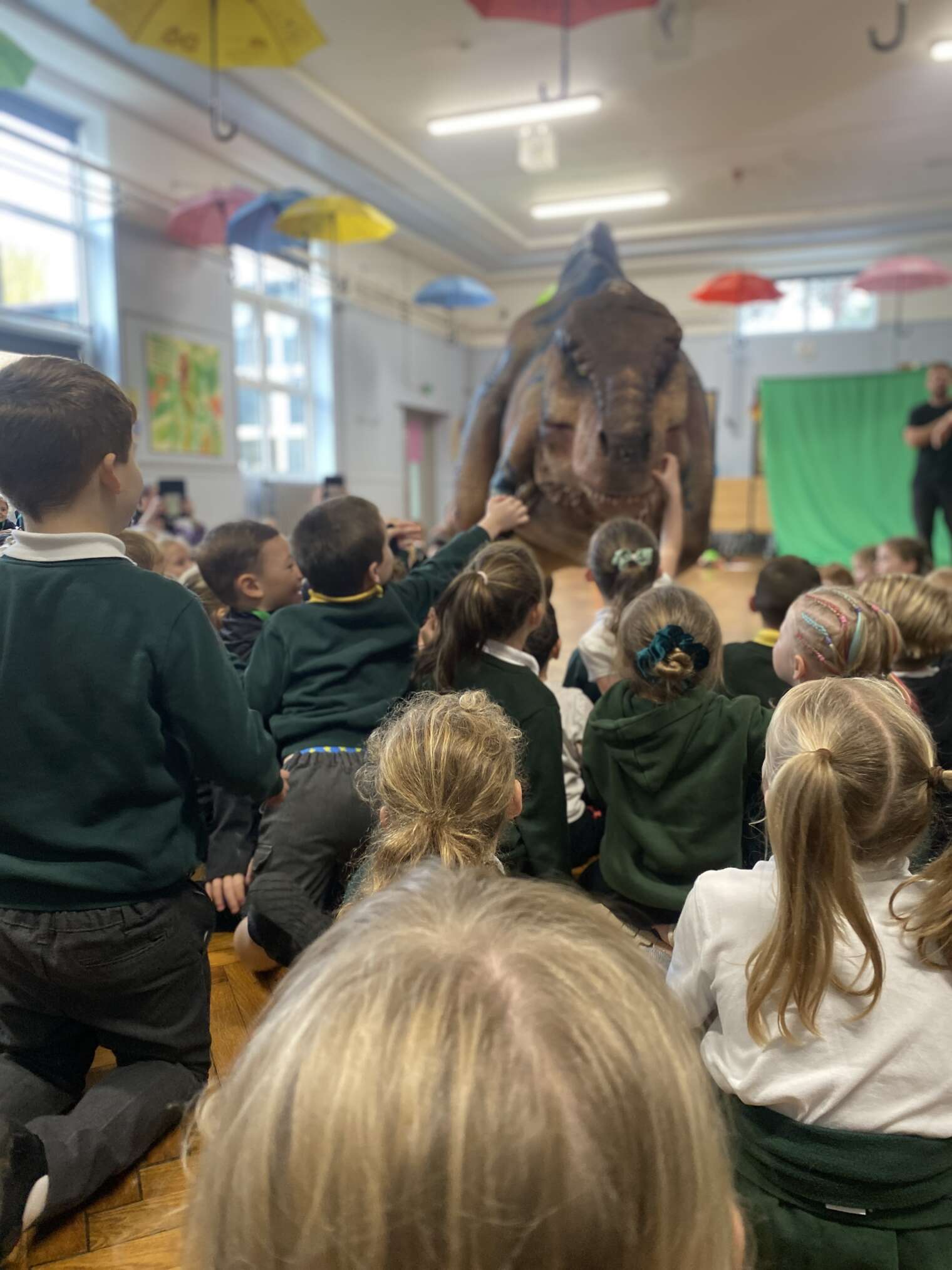Teach Rex Experience – Overchurch Infant School