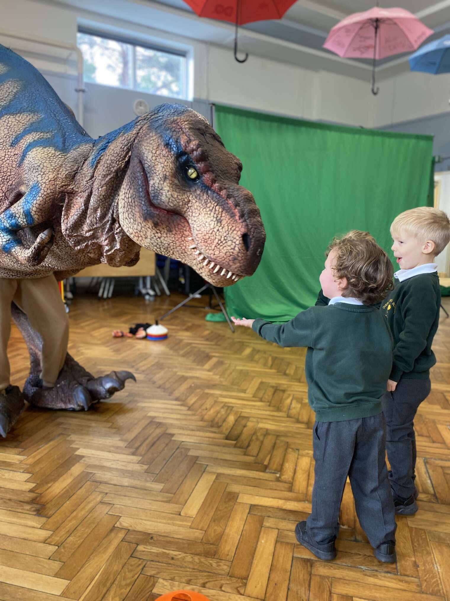 Teach Rex Experience – Overchurch Infant School